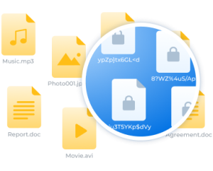 Unzip & Open GZ File on Mac | Download Commander One